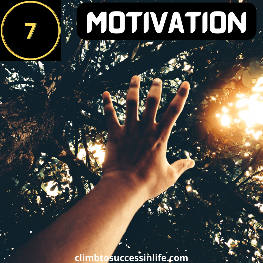 Personality Traits That Make You Successful in Life